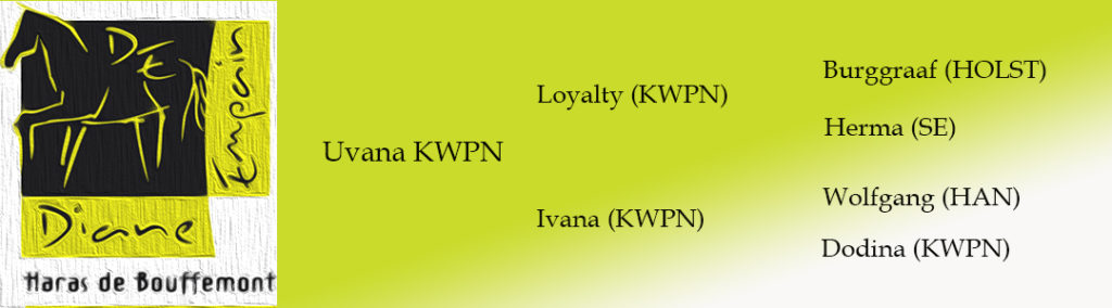 UVANA KWPN – HARAS DE BOUFFEMONT